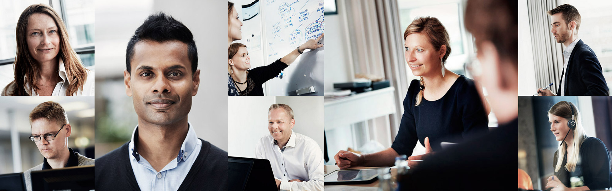 Skattestyrelsen - company profile